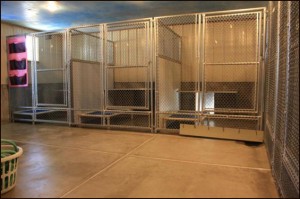 Tour the Puppy Barn - Gun Dog Training and Kennels for Gun Dogs