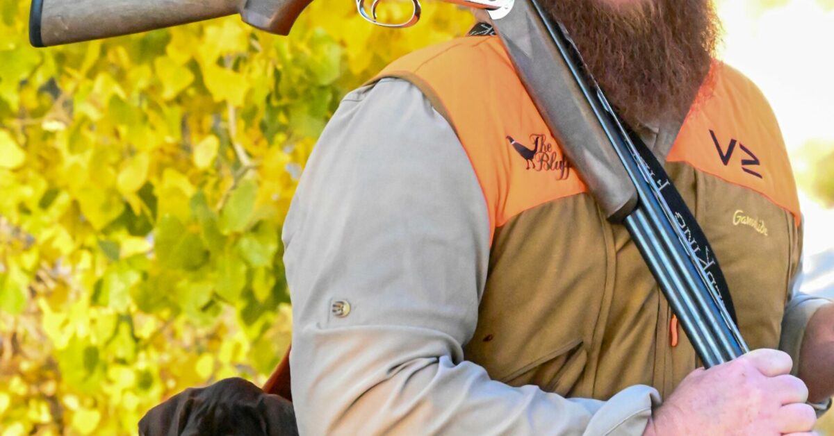 In the Field - Gun Dog Training and Kennels for Gun Dogs